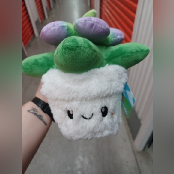 Toys | Nwt Squishable Succulent Plush Flower Pot 9 Purple Flower Rare | Poshmark